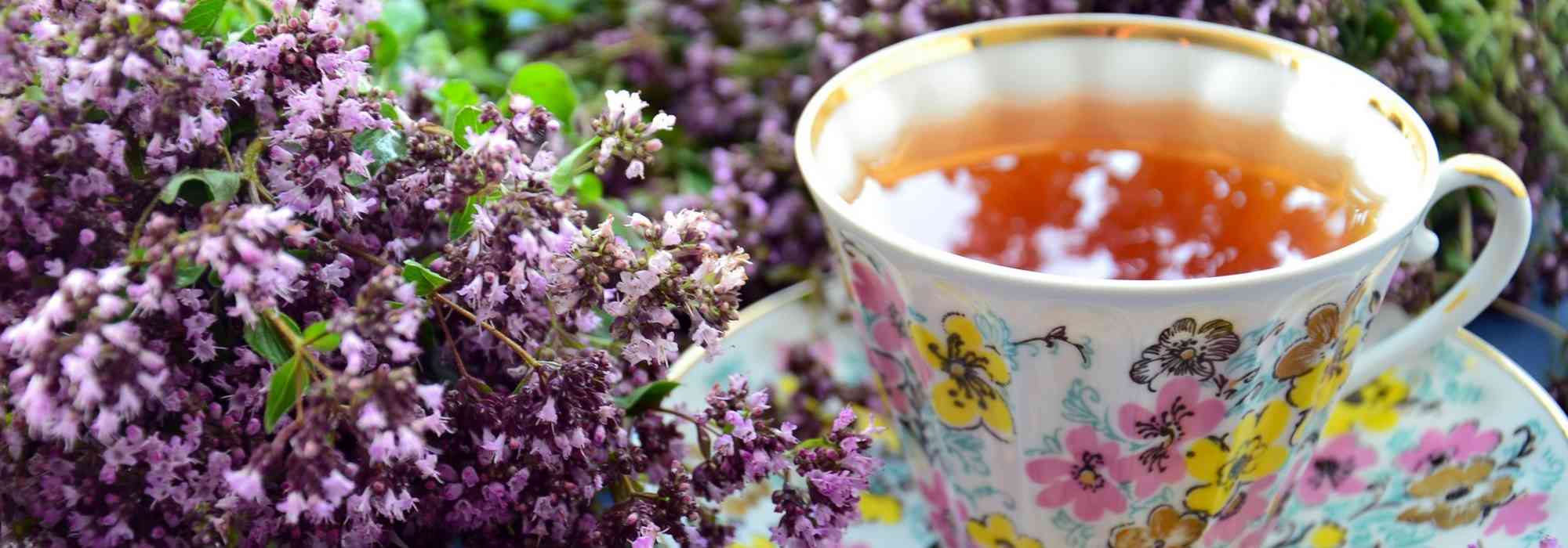 Herbal teas and infusions: which plants to grow in the garden ...
