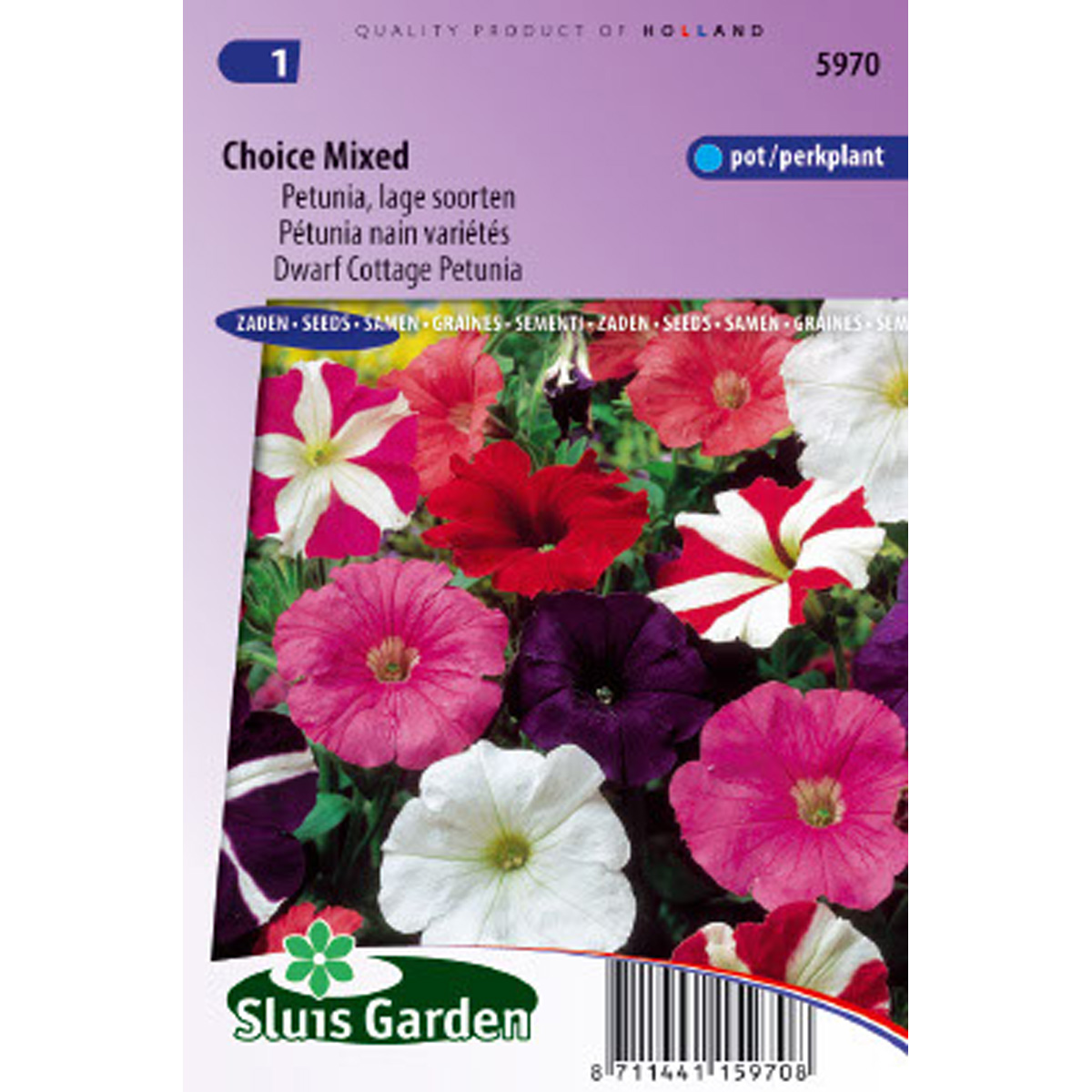Petunia dwarf cottage mix - Petunia nana compacta - Petunia Choice Mix ...