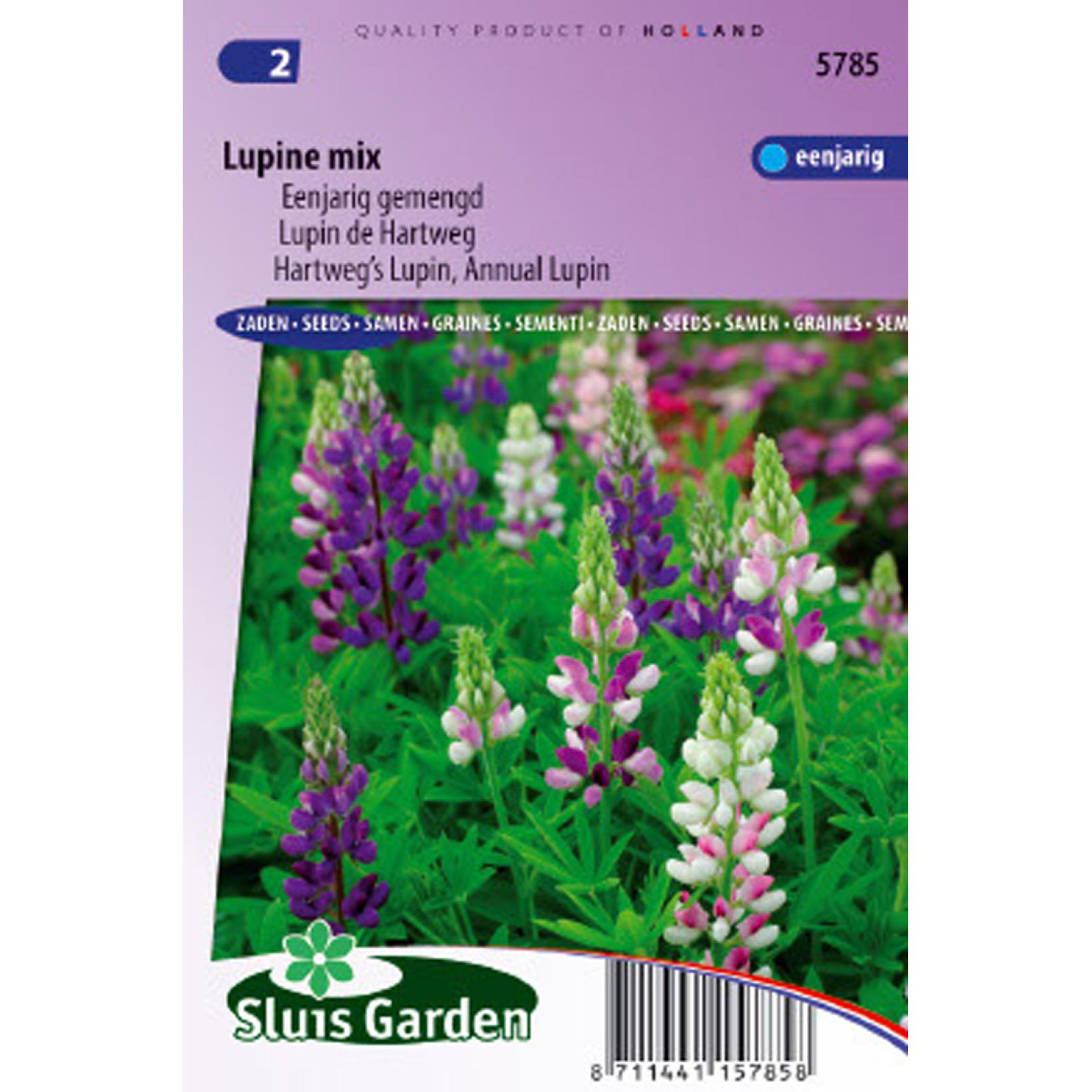 Annual Lupin Seeds - Lupinus hartwegii mix